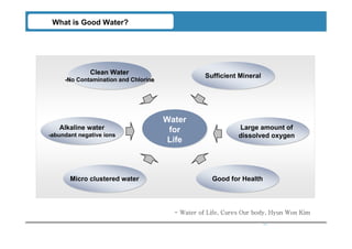 Alkaline Water Lifewater | PDF