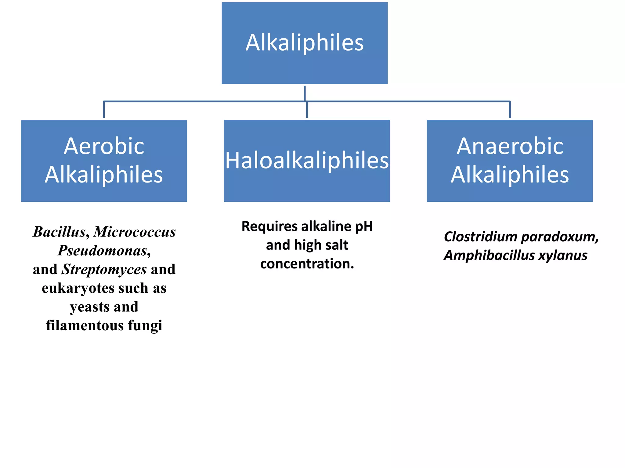 Alkaliphiles | PPTX