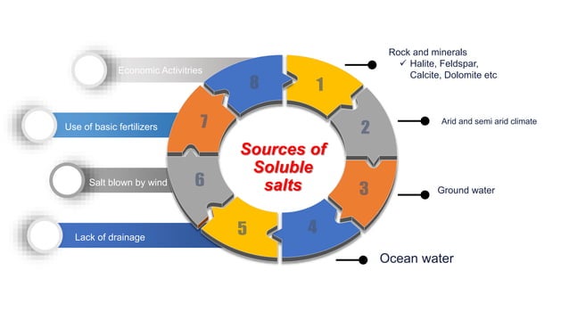 Alkali soils and its management for vegetable crops .pptx
