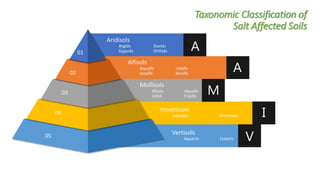 Alkali soils and its management for vegetable crops .pptx