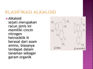ALKALOID 2-1.pptx