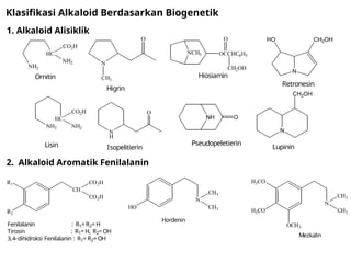 alkaloid kimia bahan alam pendidikan kimia | PPT