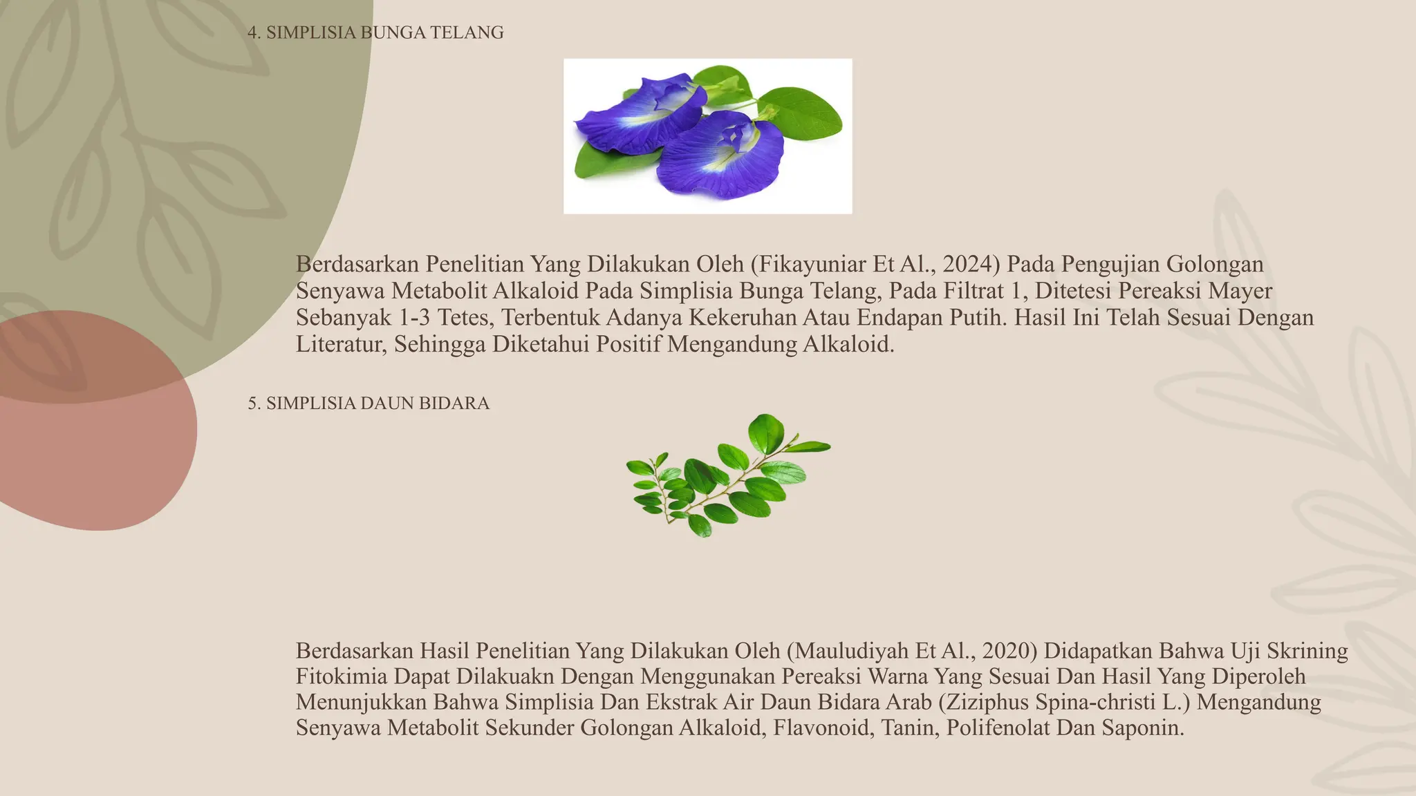 ALKALOID KELOMPOK 3.. defenisi, klasifikasi dan contohnyapptx | PPTX