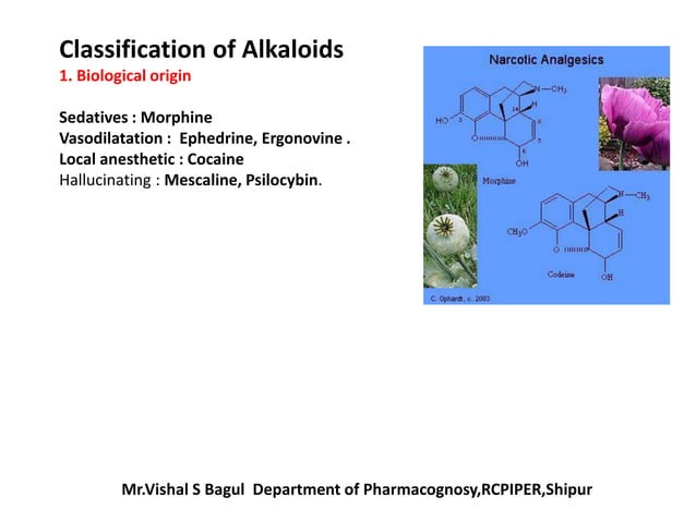 Alkaloids | PPTX