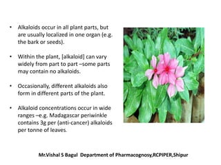 Alkaloids | PPTX