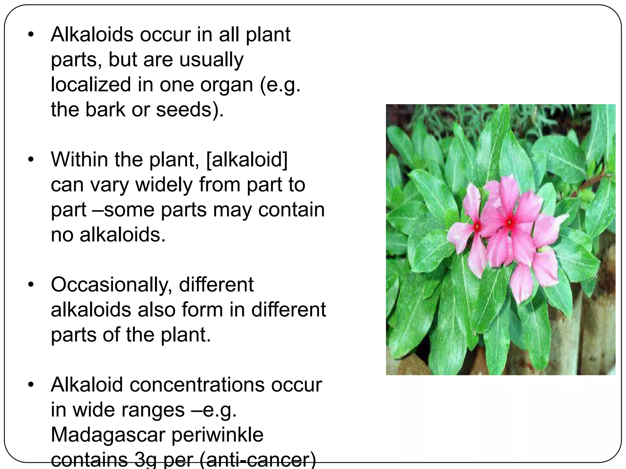 Alkaloids | PPTX