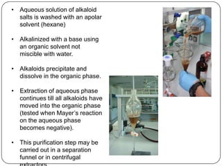 Alkaloids | PPTX