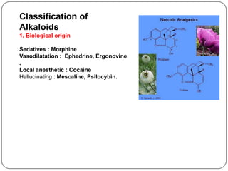 Alkaloids | PPTX