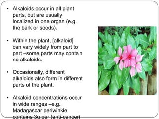 Alkaloids | PPTX