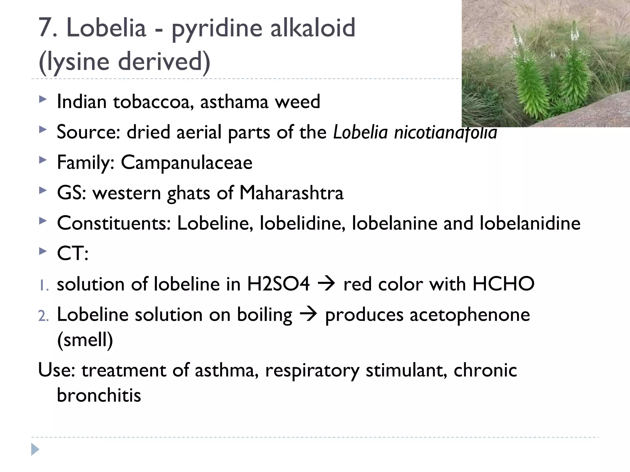 Alkaloids | PPT