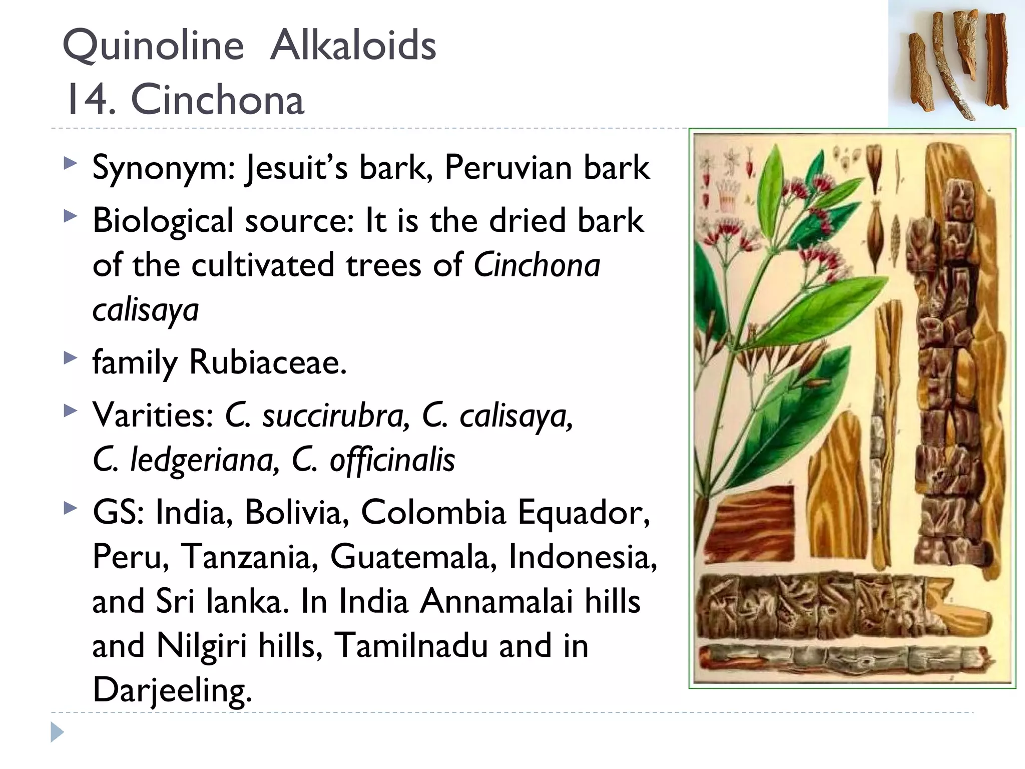 Alkaloids | PPT