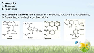 Alkaloids (Medicinal Chemistry) MANIK | PPT