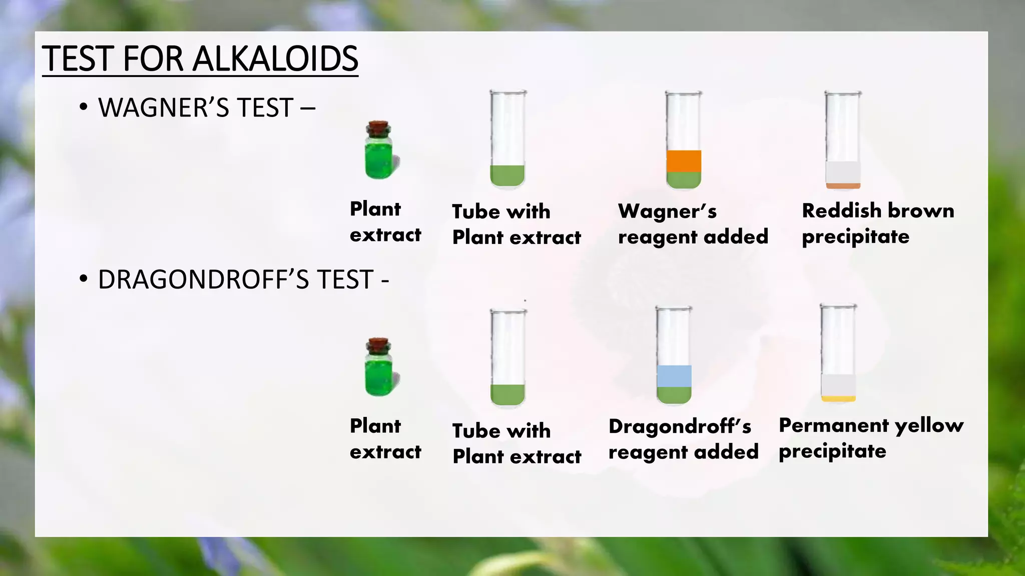 Alkaloids in plants | PPTX