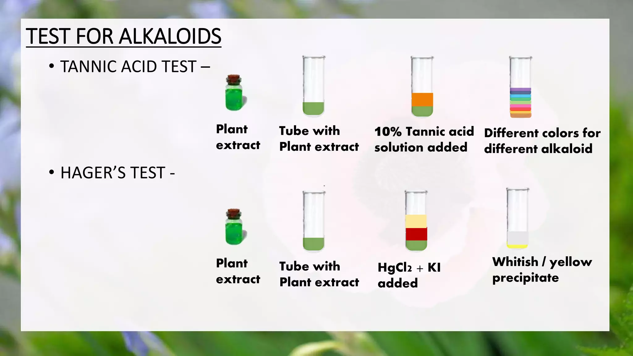 Alkaloids in plants | PPTX