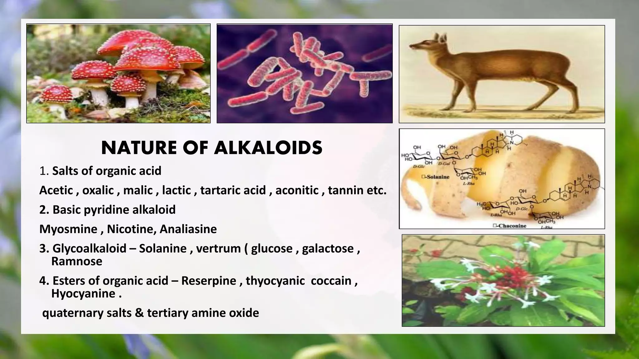 Alkaloids in plants | PPTX