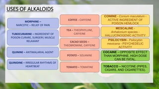 Alkaloids in plants | PPTX
