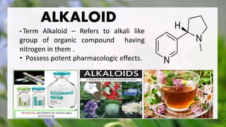 Alkaloids in plants | PPTX