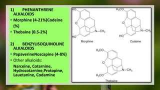 Alkaloids in plants | PPTX