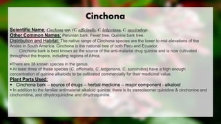 Alkaloids in plants | PPTX