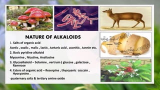 Alkaloids in plants | PPTX
