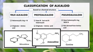 Alkaloids in plants | PPTX