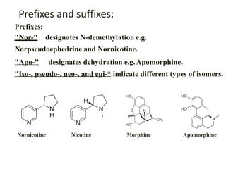 Alkaloids.pptx