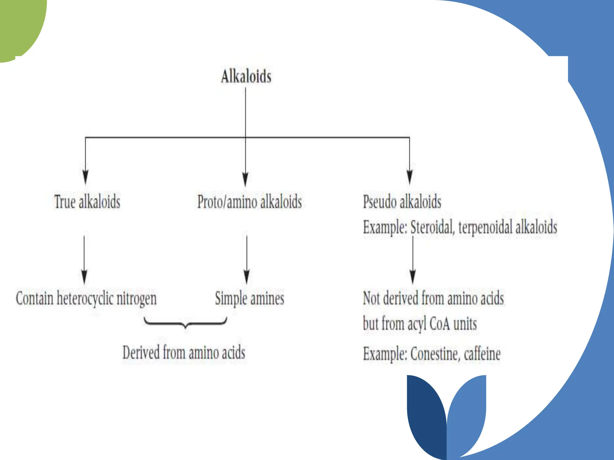 alkaloids.ppt
