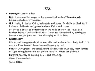 Pharmacognosy and Phytochemistry ALKALOIDS.pptx