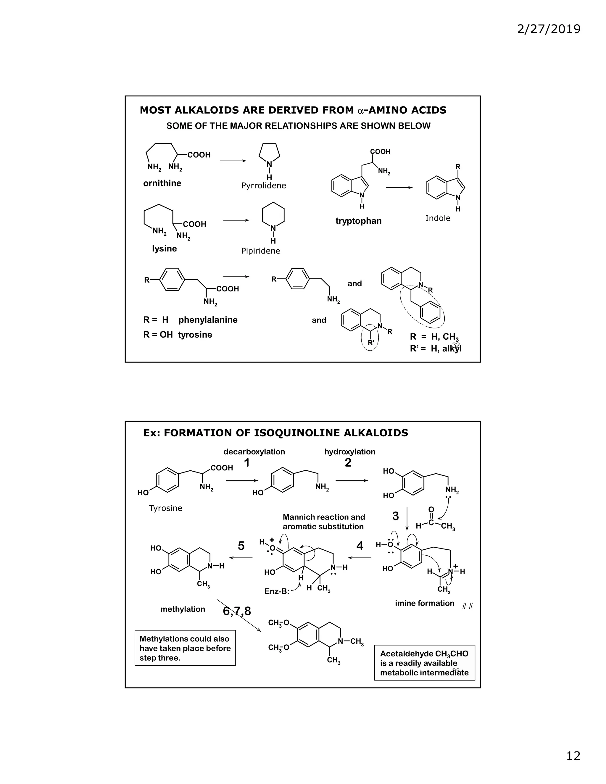 alkaloids -General methods of structural elucidation of Alkaloids. Structural Elucidation and ...