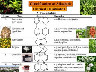Alkaloids bio synthesis : control, mechanism & application. | PDF
