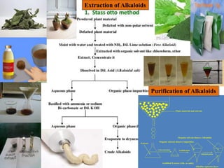 Alkaloids bio synthesis : control, mechanism & application. | PDF