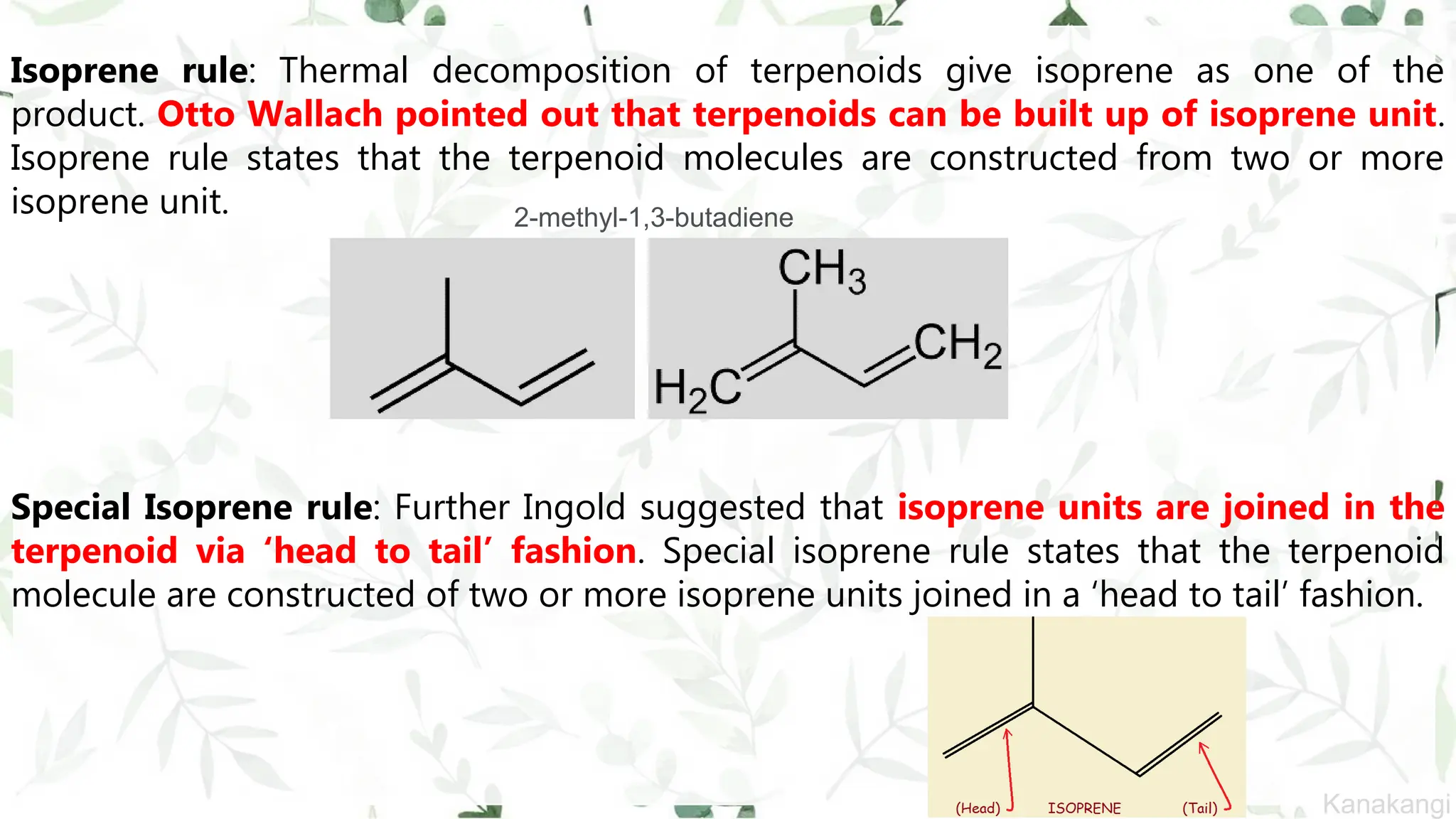 Alkaloids vitamins terpenes Electrophoresis.pptx
