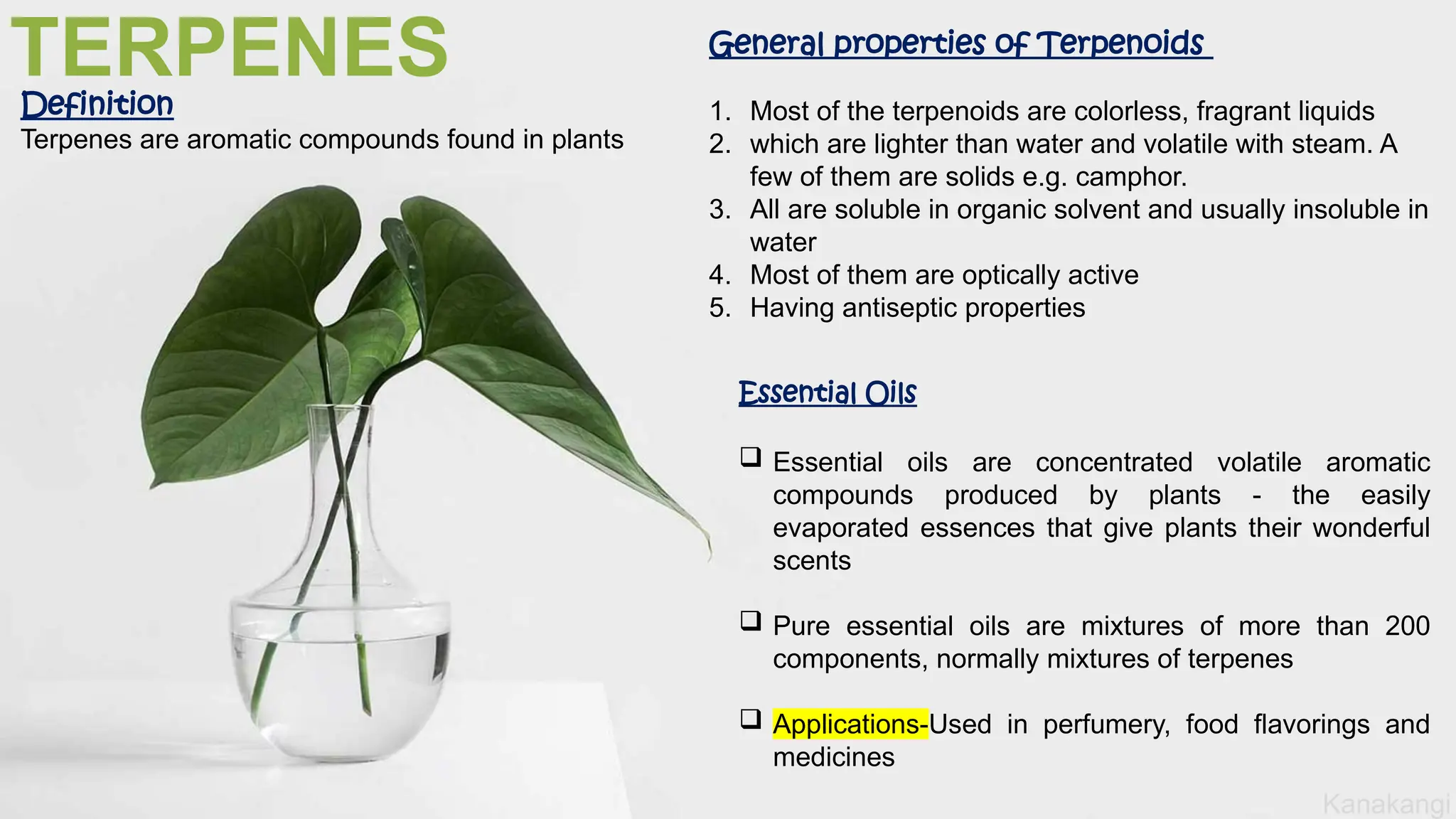 Alkaloids oils fats vitamins Electrophoresis.pptx