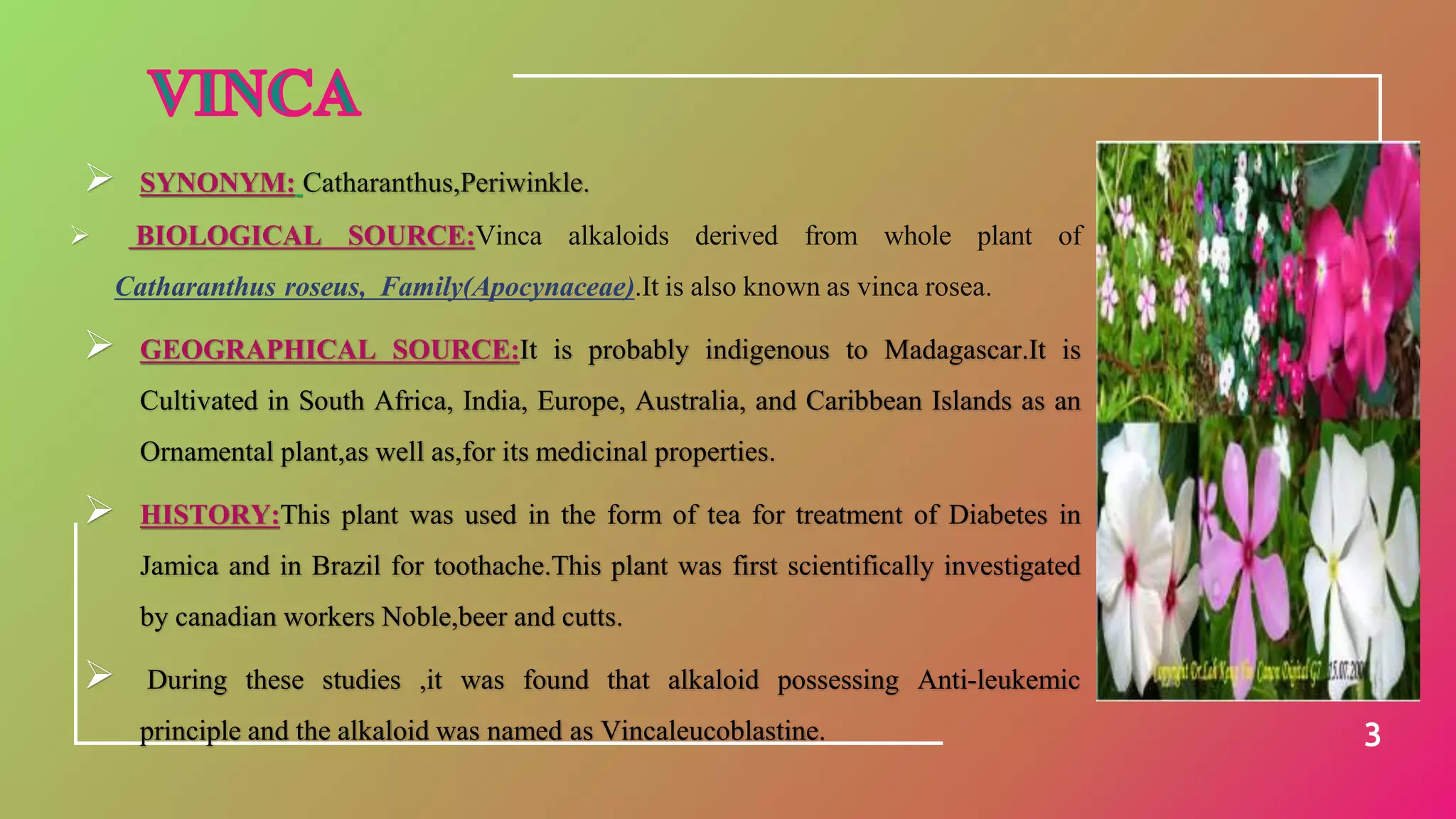 Alkaloids vinca,rauwolfia,belladona,opium | PPTX