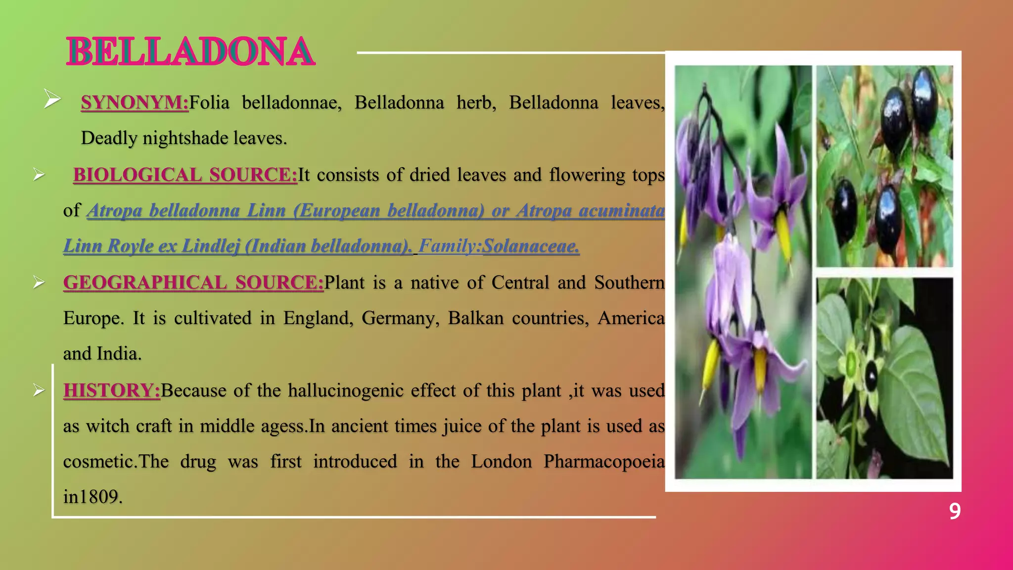 Alkaloids vinca,rauwolfia,belladona,opium | PPTX