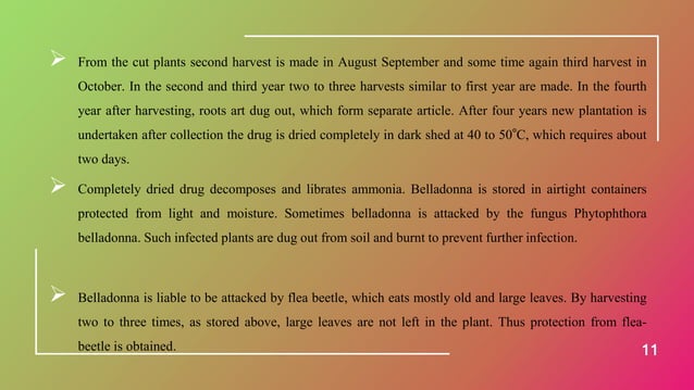 Alkaloids vinca,rauwolfia,belladona,opium | PPTX