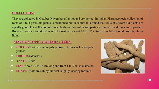 Alkaloids vinca,rauwolfia,belladona,opium | PPTX