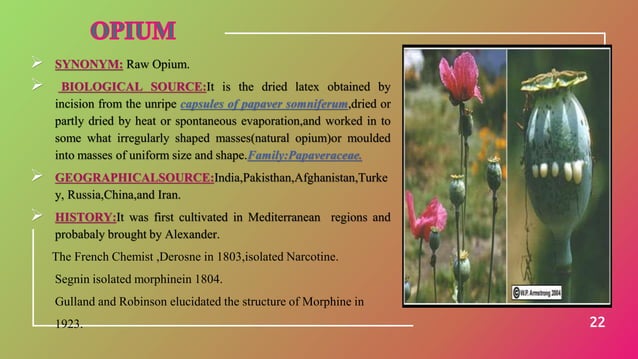 Alkaloids vinca,rauwolfia,belladona,opium | PPTX