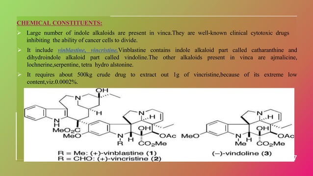 Alkaloids vinca,rauwolfia,belladona,opium | PPTX