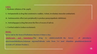 Alkaloids containing drugs.pptx