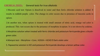 Alkaloids containing drugs.pptx