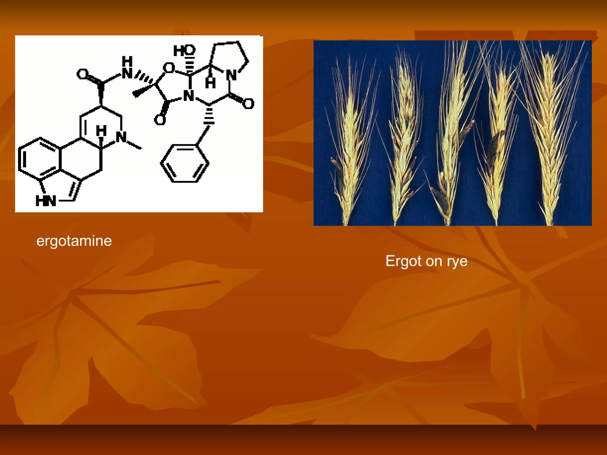 Alkaloids in fungi | PPT