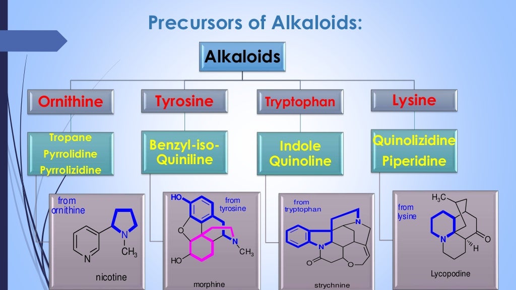 Alkaloids ppt