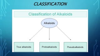 ALKALOIDS sayee.pptx