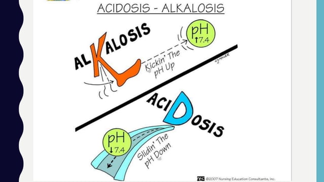 Alkalosis | PPT