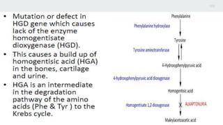 Alkaptonuria | PPTX