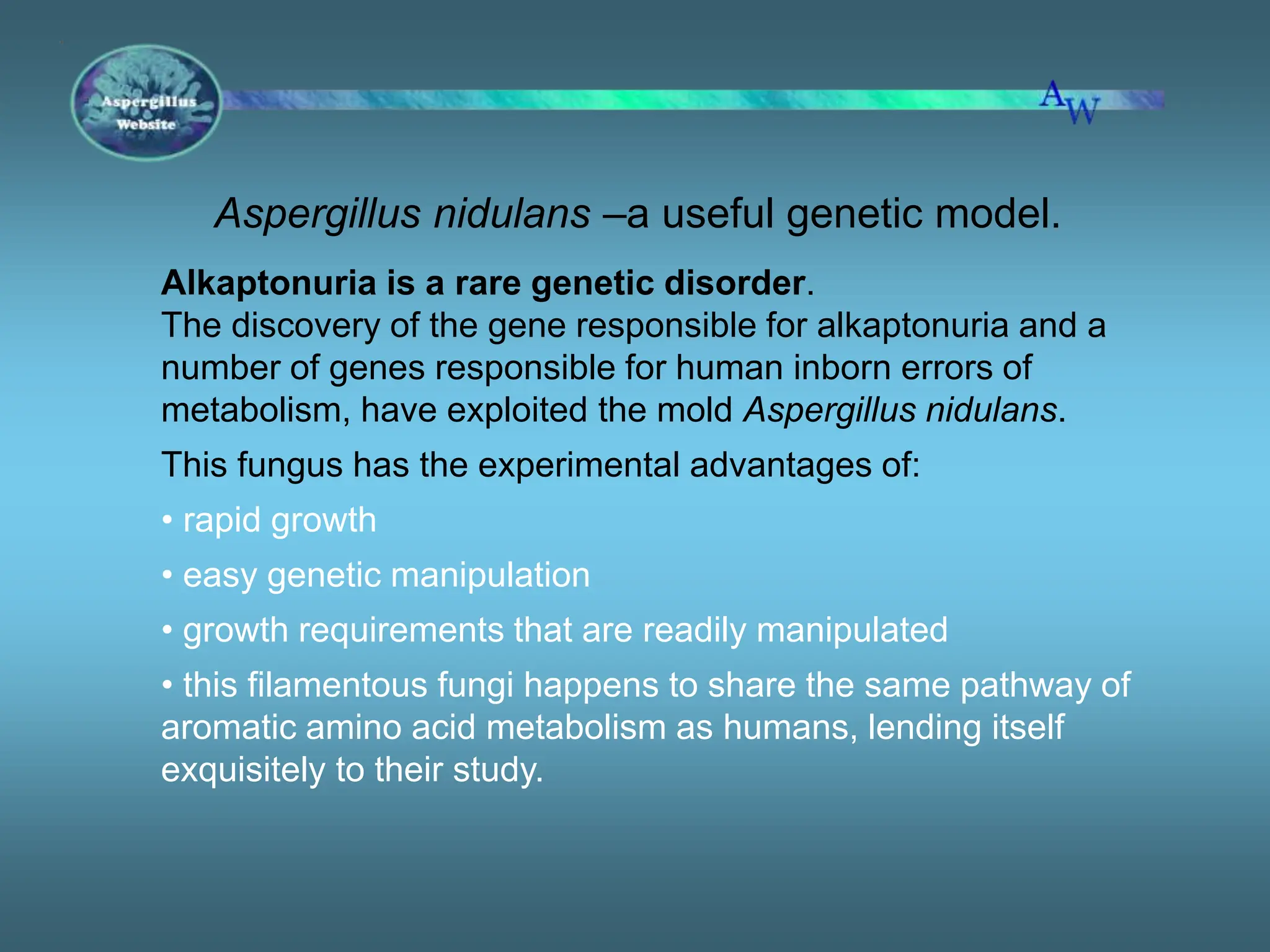 alkaptonuria a rare disease also called as black urine disease | PPT