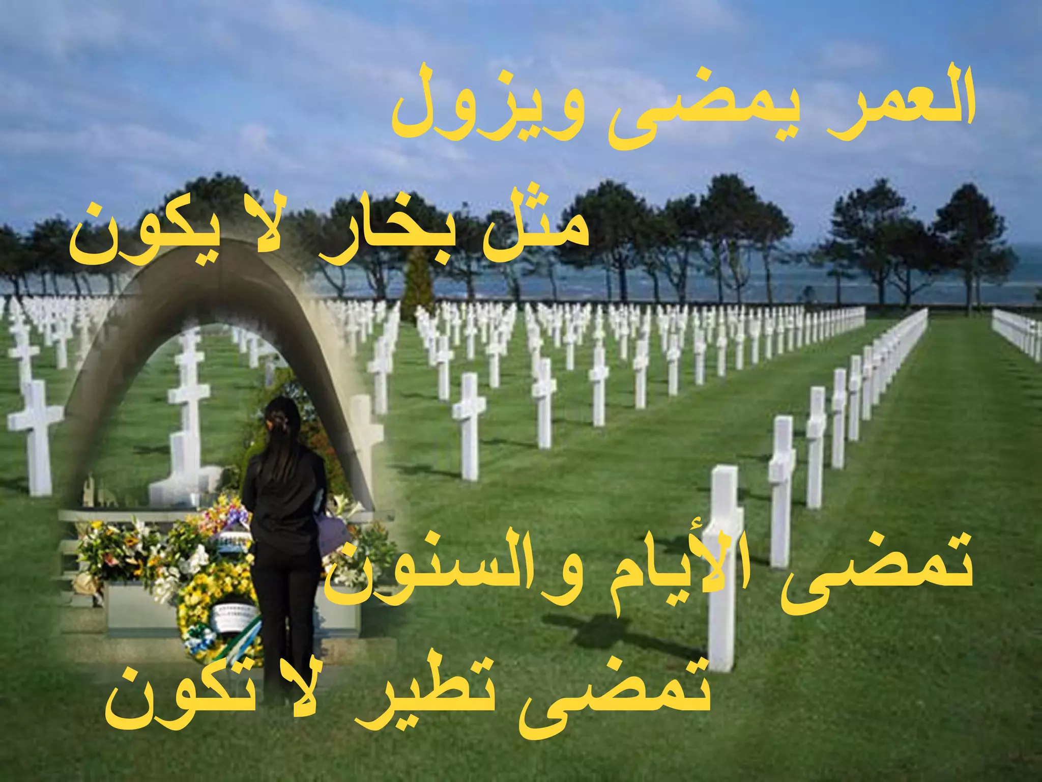 Alkol yamdy wa yazoul | PPT