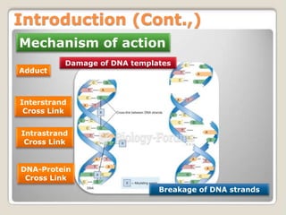 Alkylating agents | PPTX