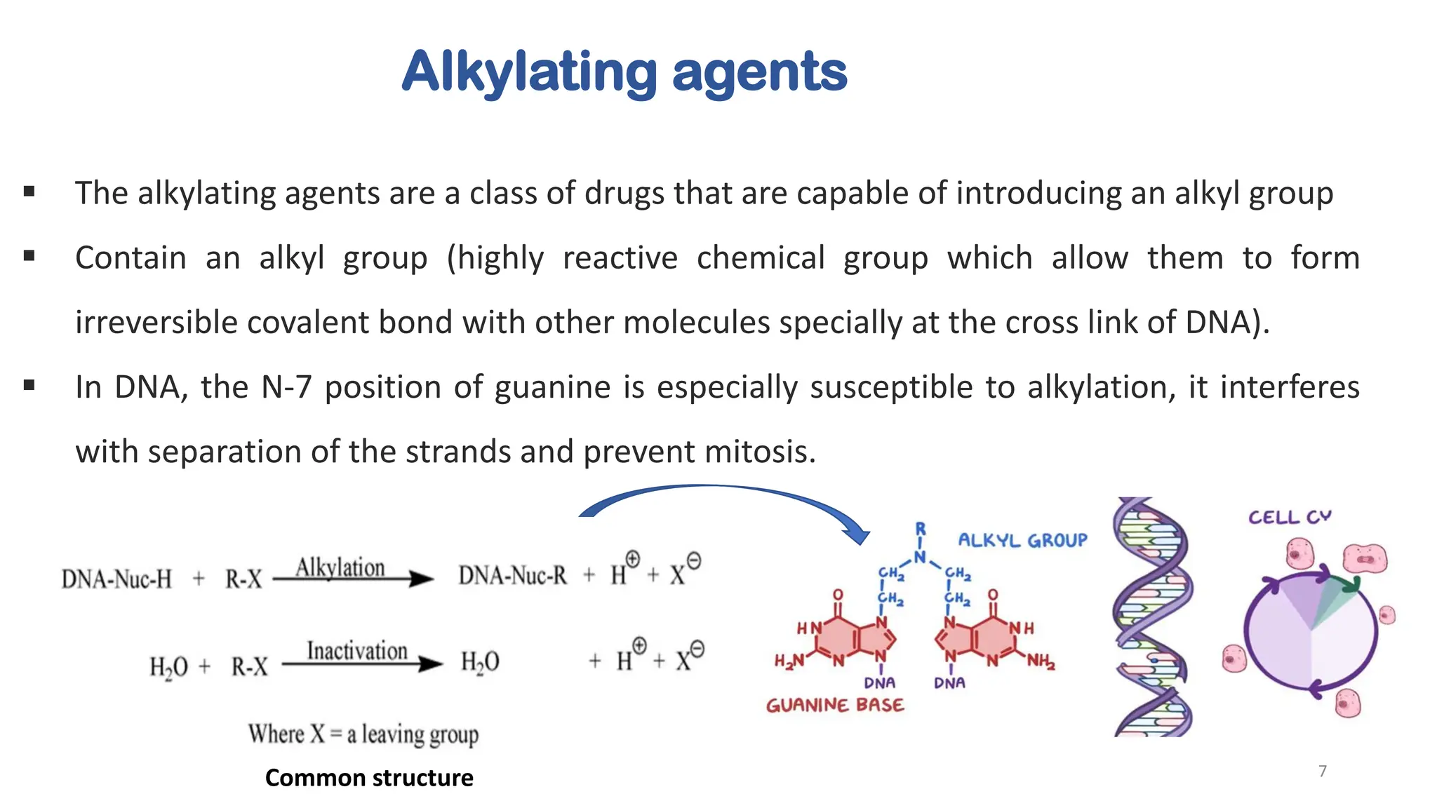 Alkylating agents -Medicinal Chemistry | PDF